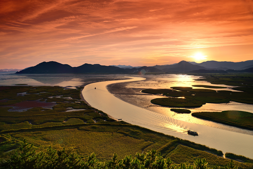 Suncheonman Bay Wetland Reserve | Suncheon | Observatory