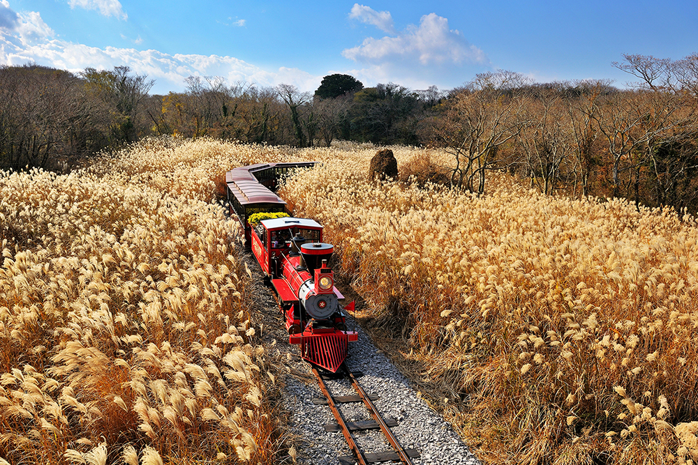 Eco Land Theme Park - Etourism