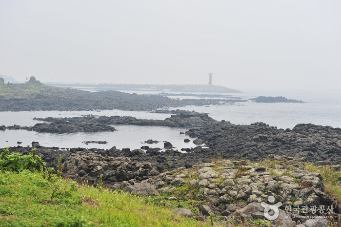 Udo Island | East Jeju Island | Beac Natural Monument | Paradise
