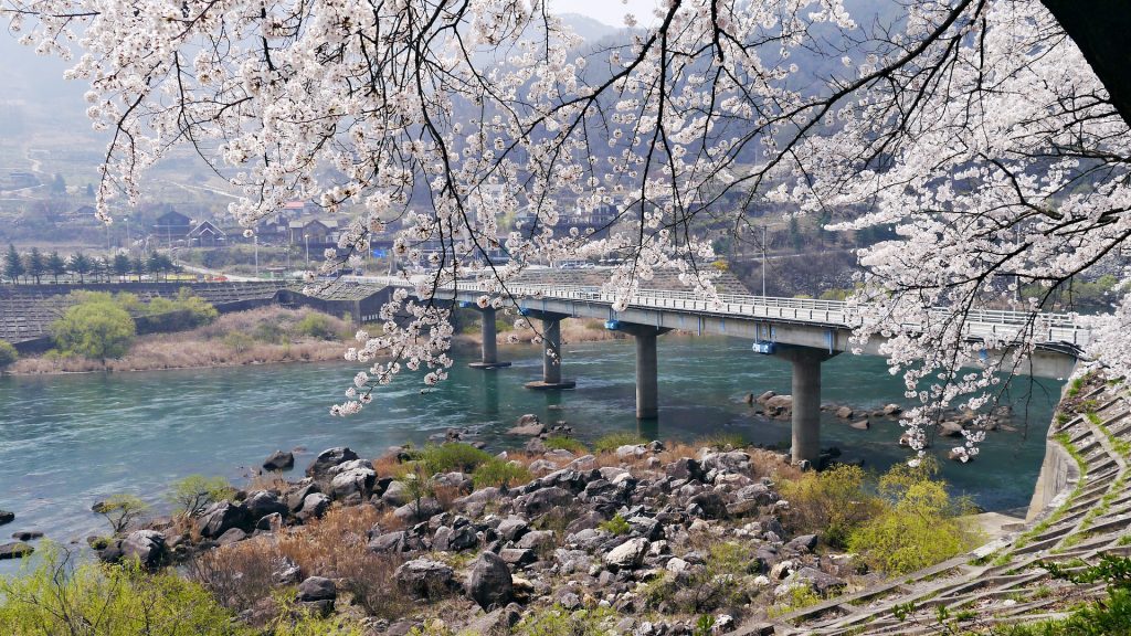 Chungjuho Lake | Korea's Largest Lake | Must-go | | Cruise