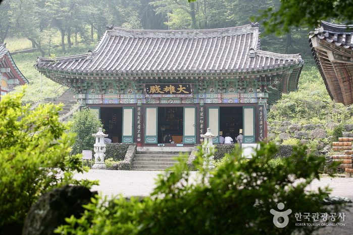 Gwaneumsa Temple | Jeju City | Shrine & Buddhism | South Korea