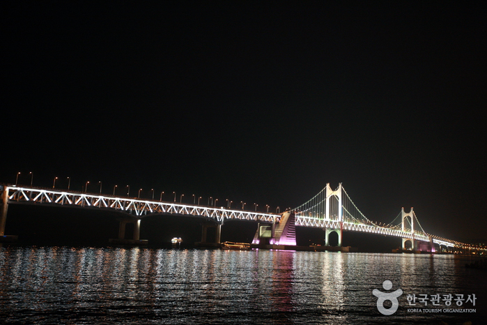 Gwangandaegyo Bridge | Busan | Gwangalli Beach | Bridge Ligtening