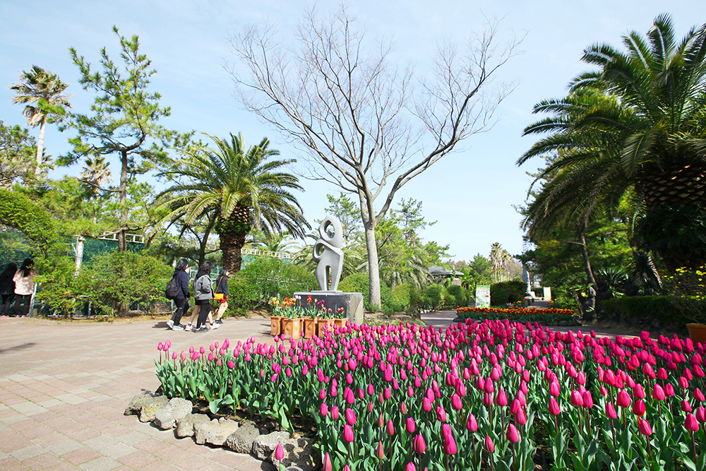 Hallim Park | West Jeju Island | Subtropical Plants | South Korea
