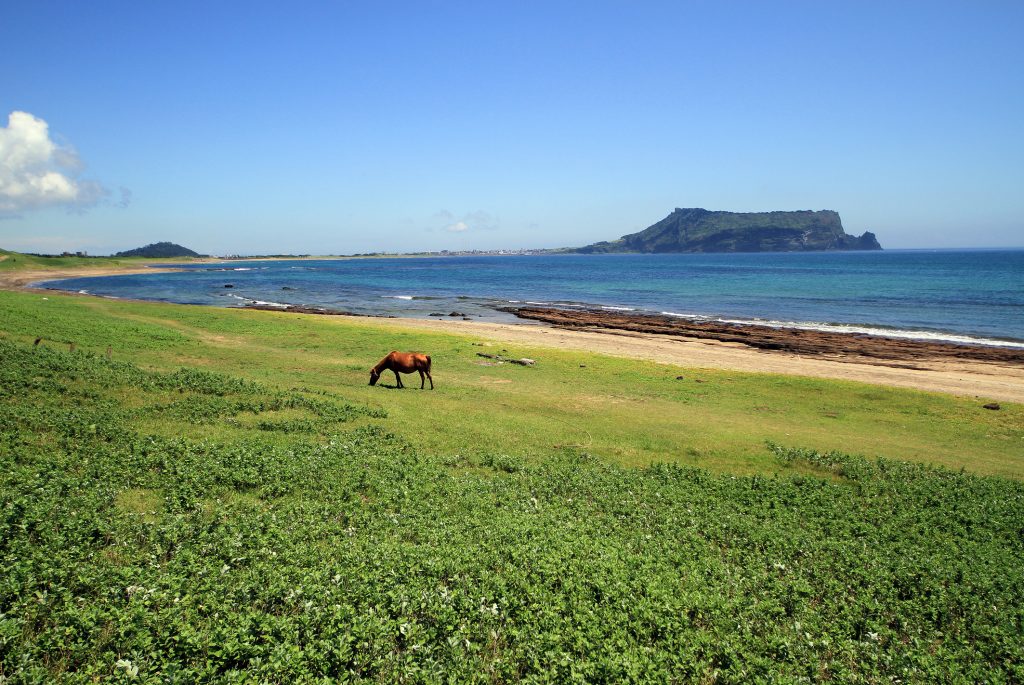 Jeju-gwangchigi-beach / Jeju island beach / Jeju sea side / Jeju ocean