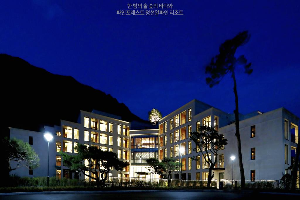 Korea Jeongseon Alpine Centre Ski Resort - Etourism Korea DMC