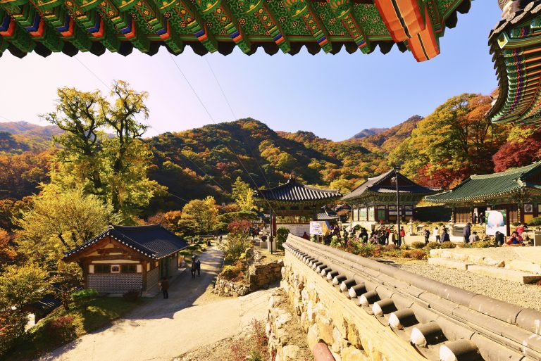 1 DAY Korea Nature Tour at Yangpyeong | Korea Nature Travel