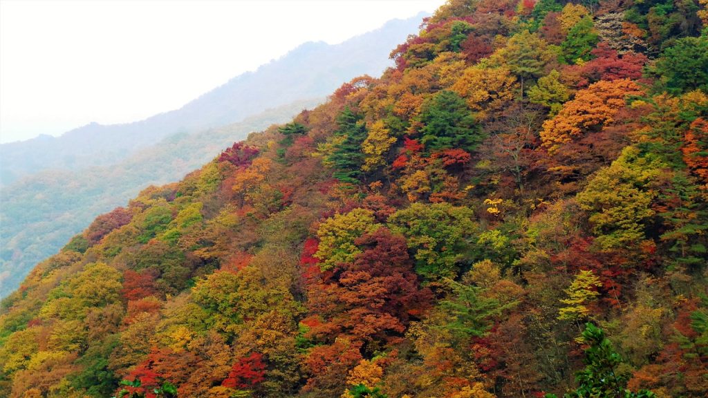 1 day Jirisan National Park Hiking Tour | Korea hiking tour package