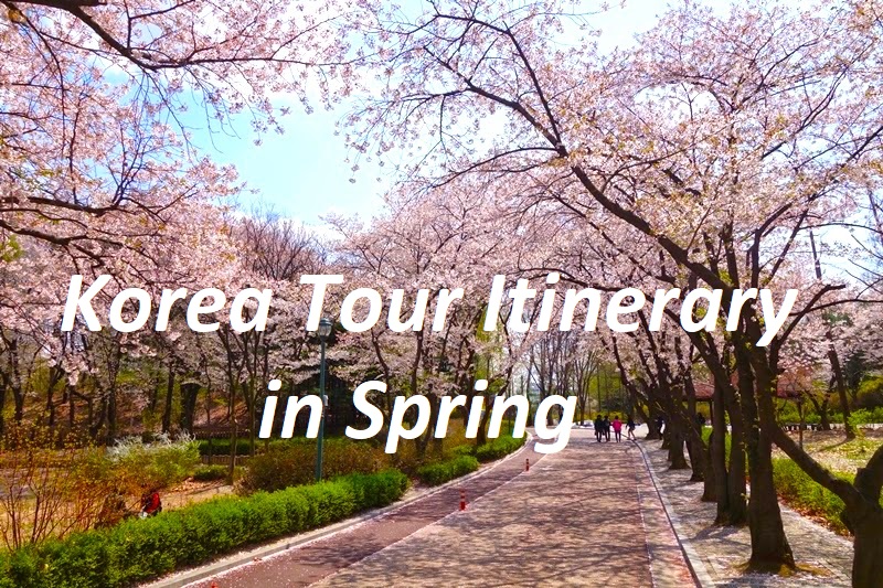 Korea Tour Itinerary in Spring [ Trip to Korea in Spring ]