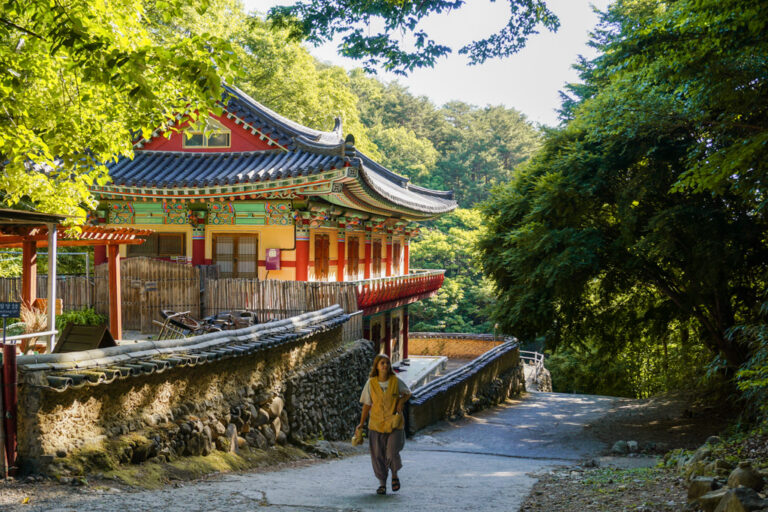 Temple Stay in Korea: Complete Guide for Foreign Visitors